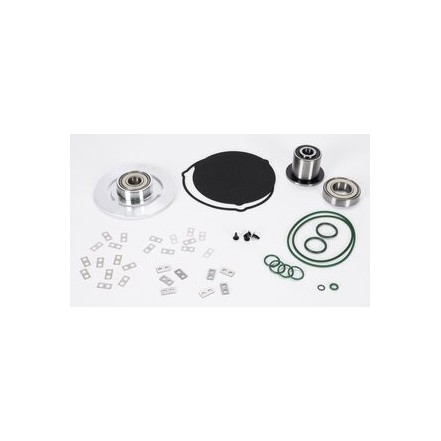 nXDS Bearing Replacement Kit for Edwards nXDS6i/10i/15i/20i